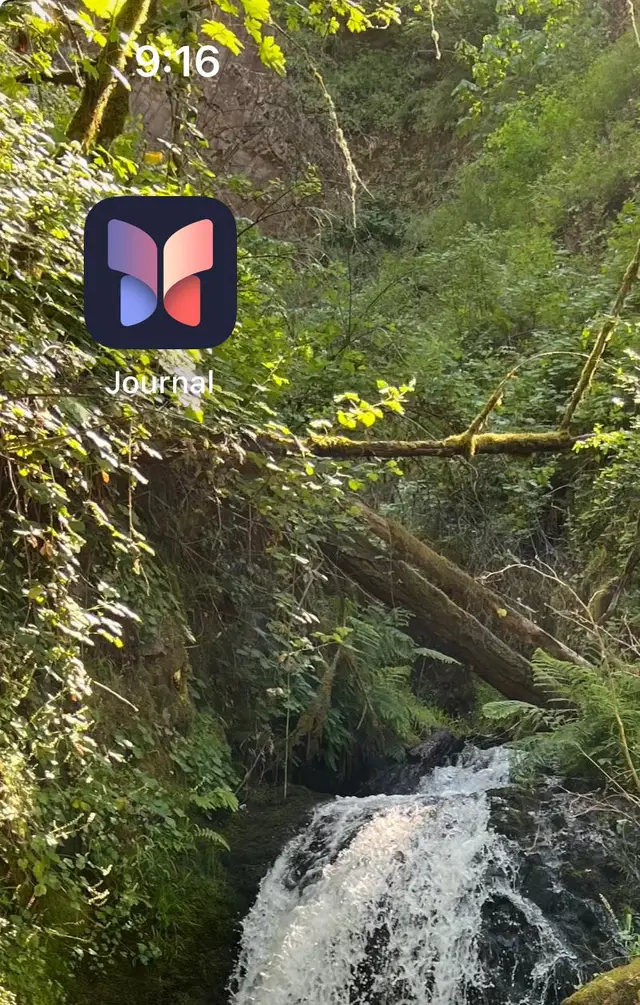 Anyone else wake up and have a Journal app? | Scrolller