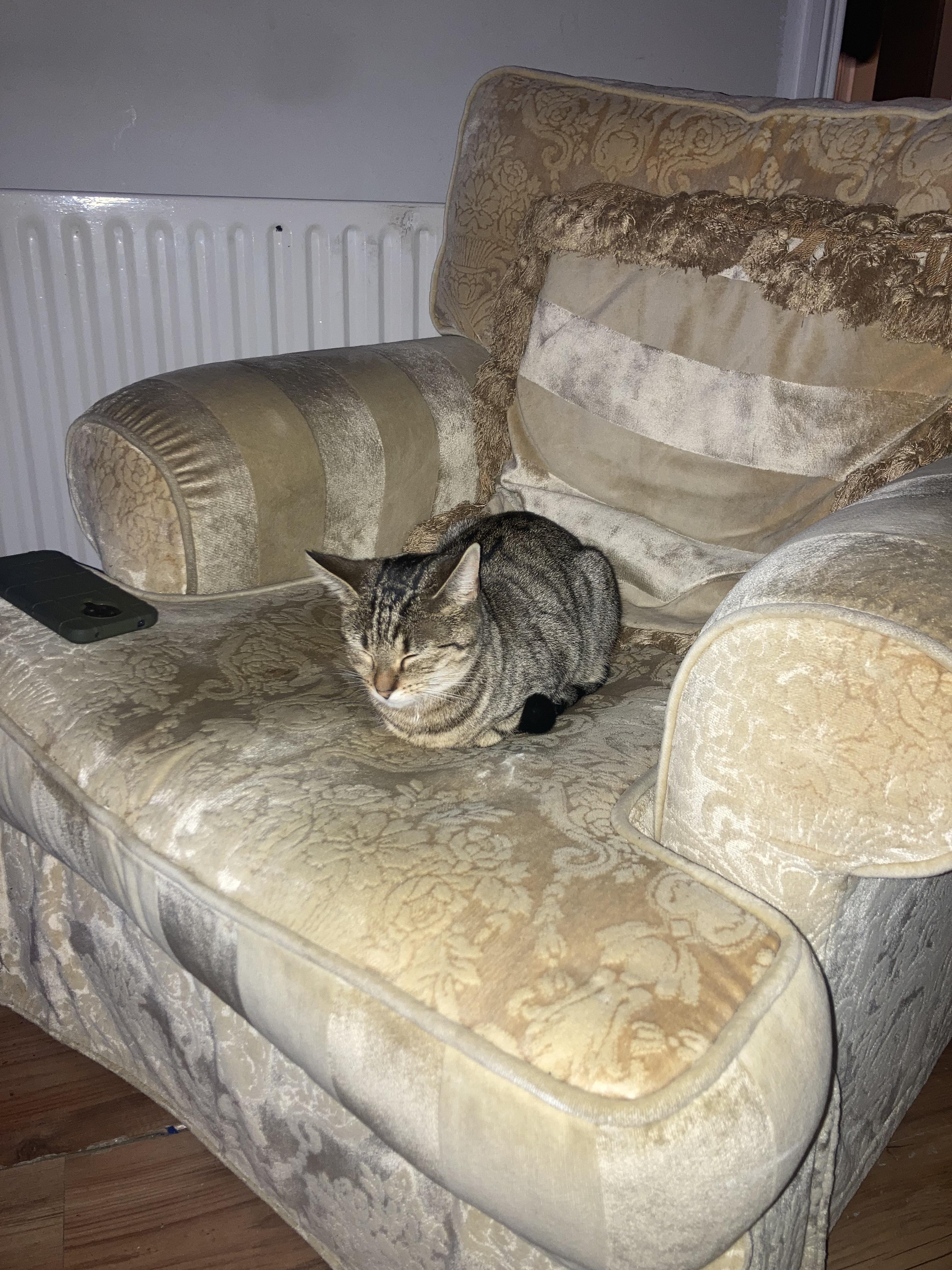 Content Loaf | Scrolller