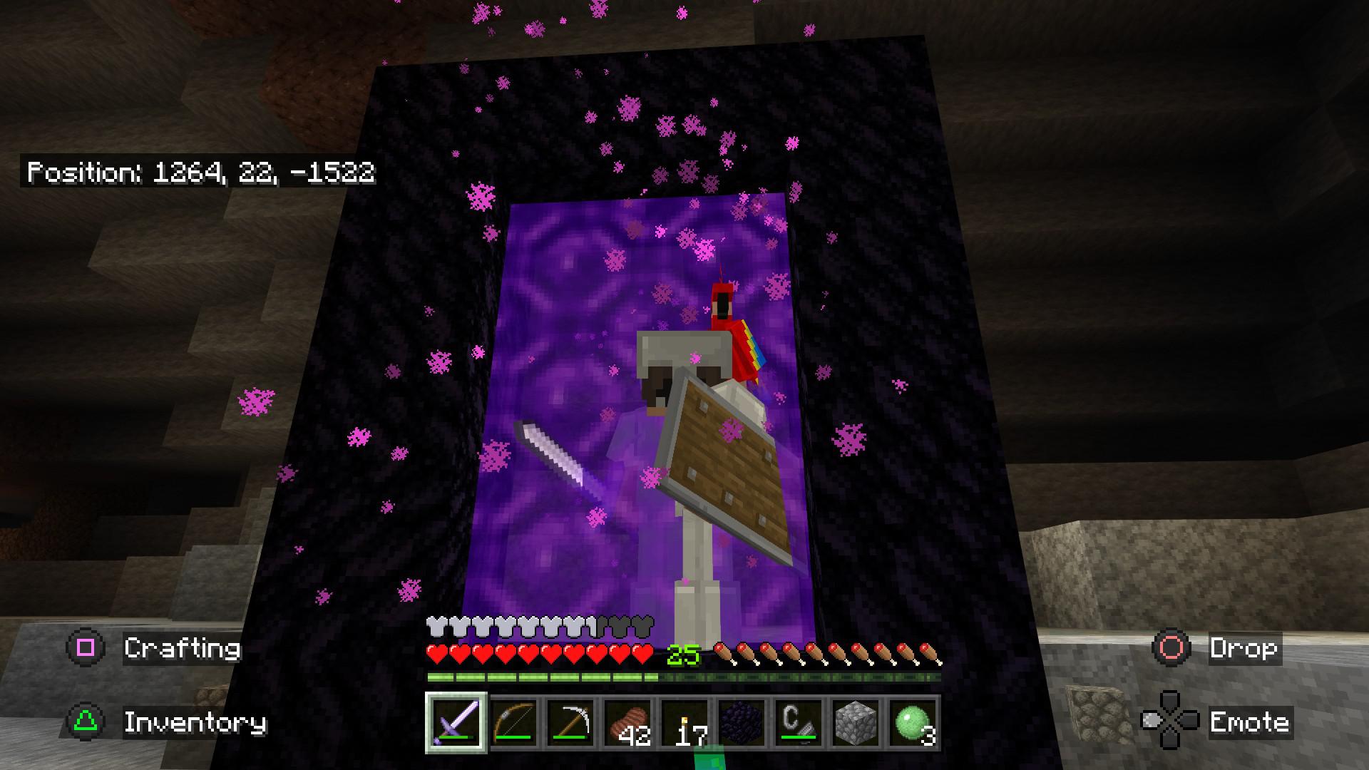 Buggy nether portal | Scrolller