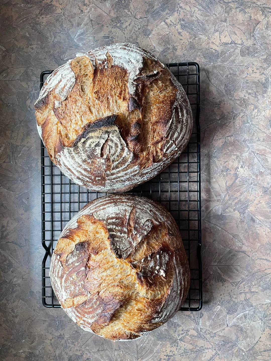 Really proud of how these loaves turned out! Definitely improving with each batch! | Scrolller