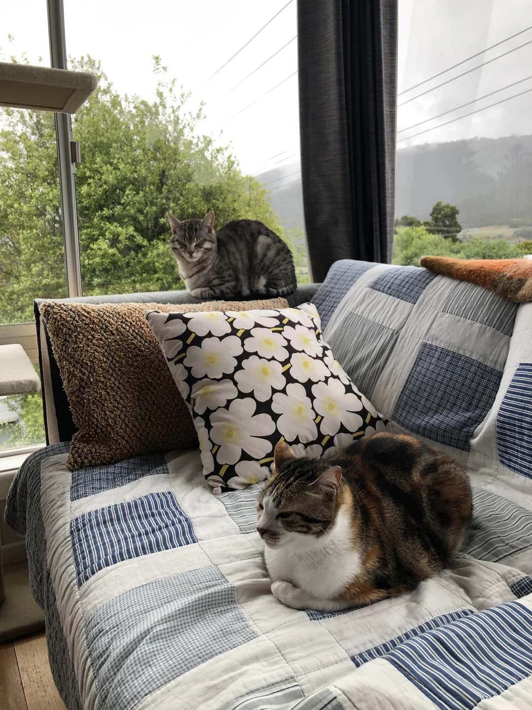 Multi-level loaves | Scrolller