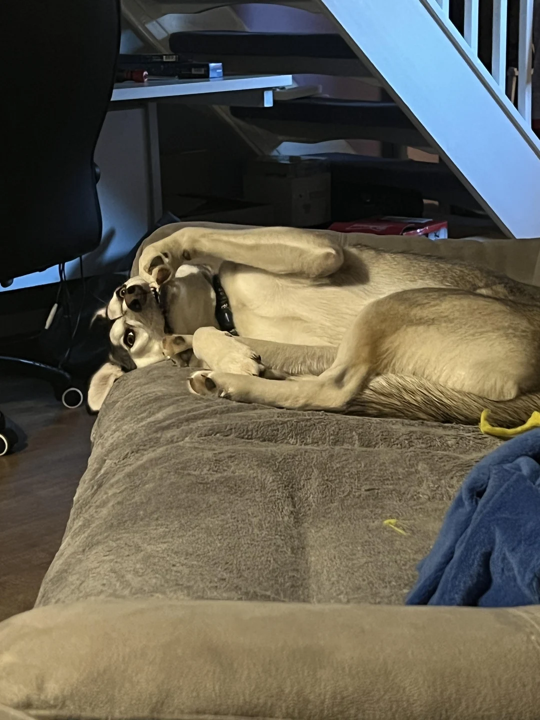 Dammit he caught me | Scrolller