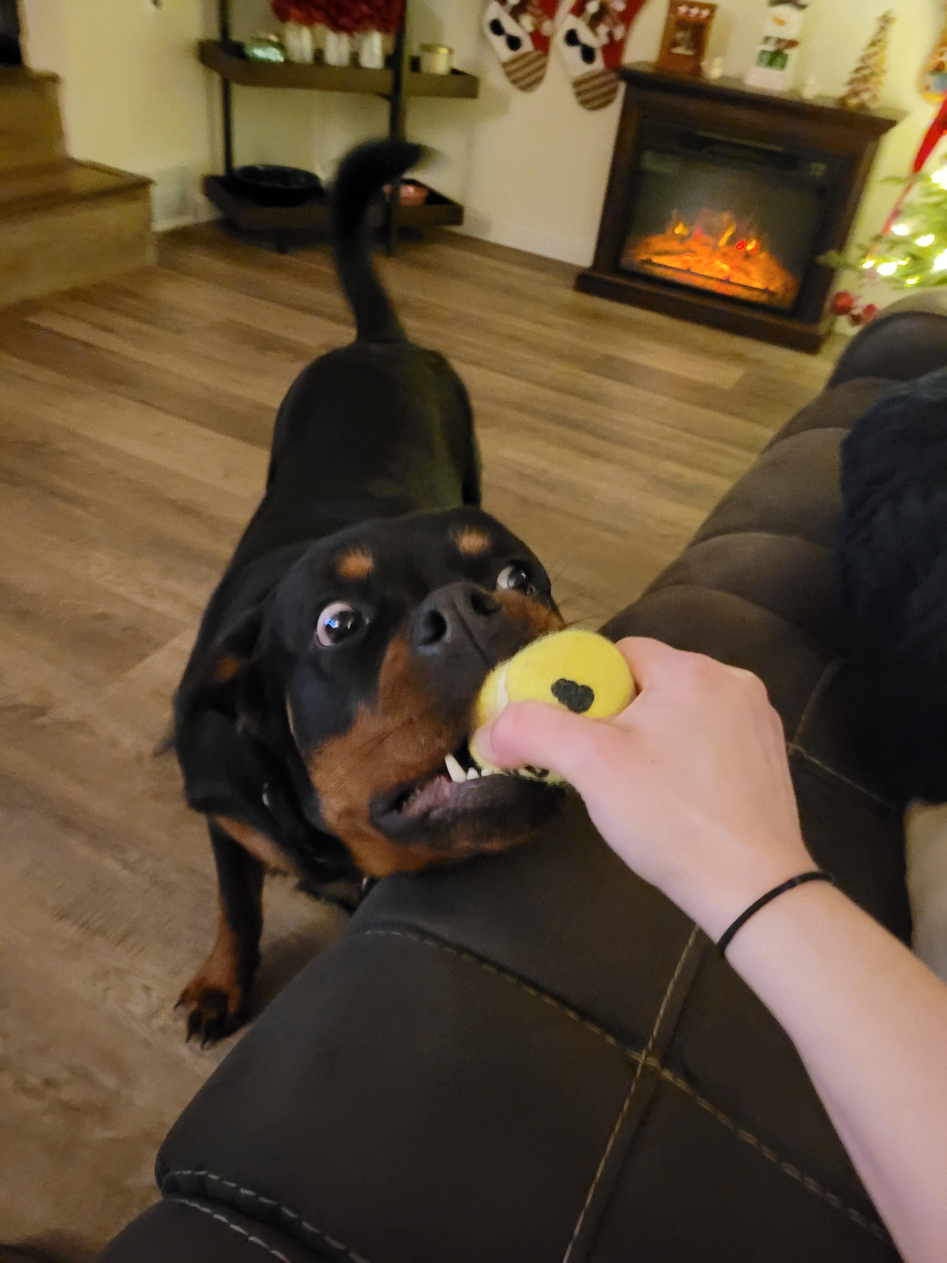 No take, only throw | Scrolller