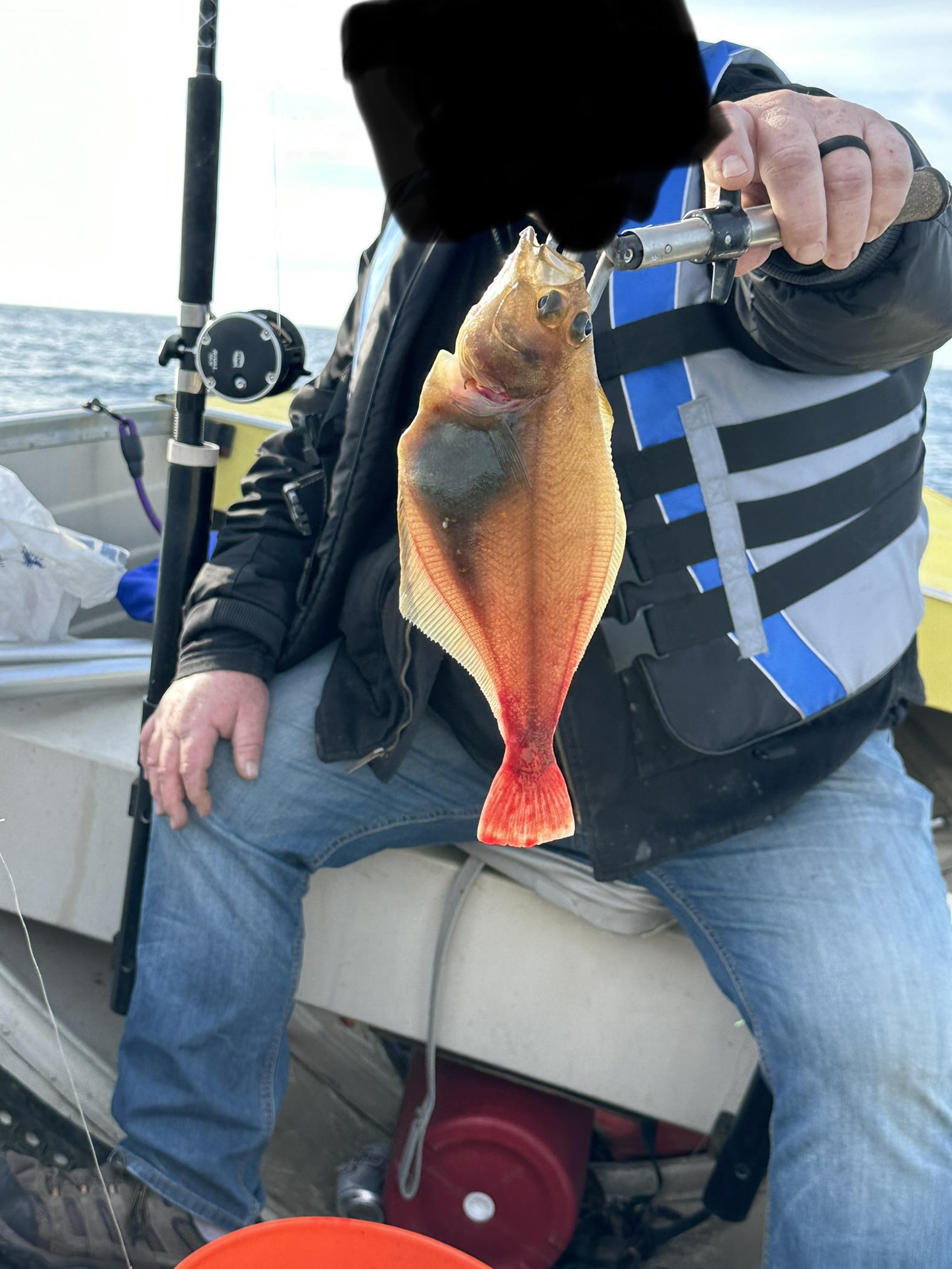 Help ID’ing a fish (California deep sea) | Scrolller