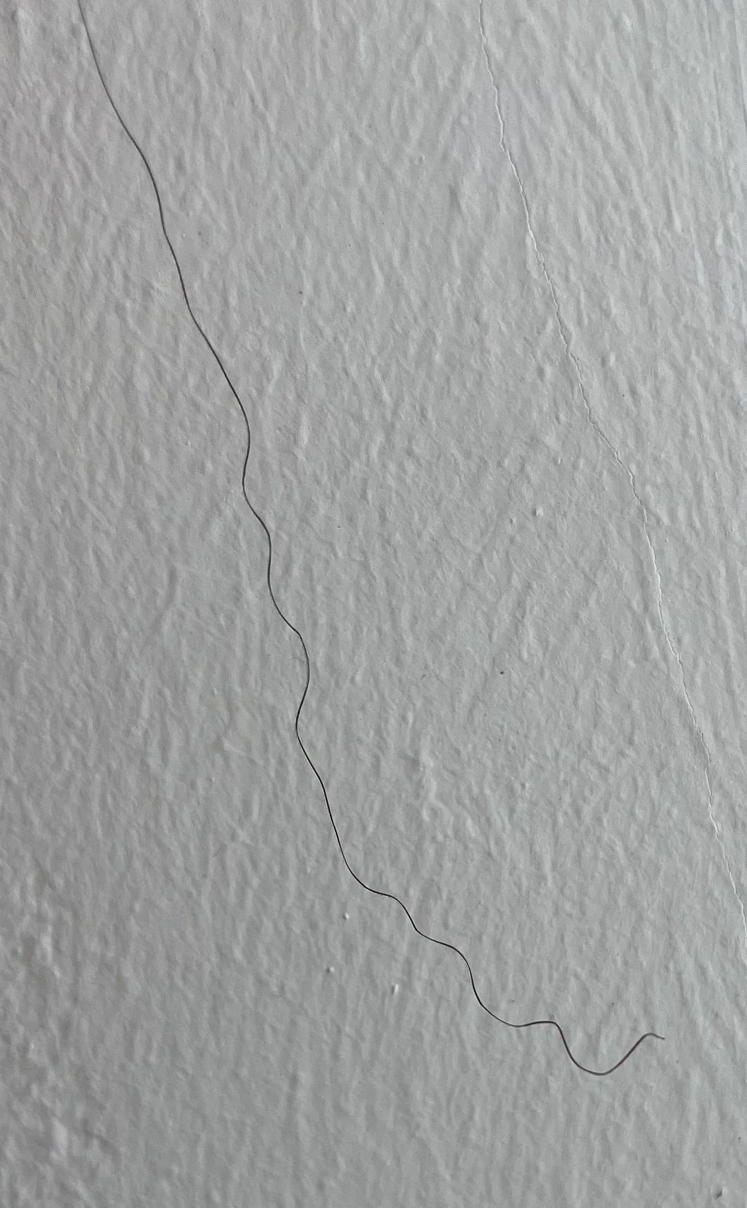 what’s my hair texture? | Scrolller