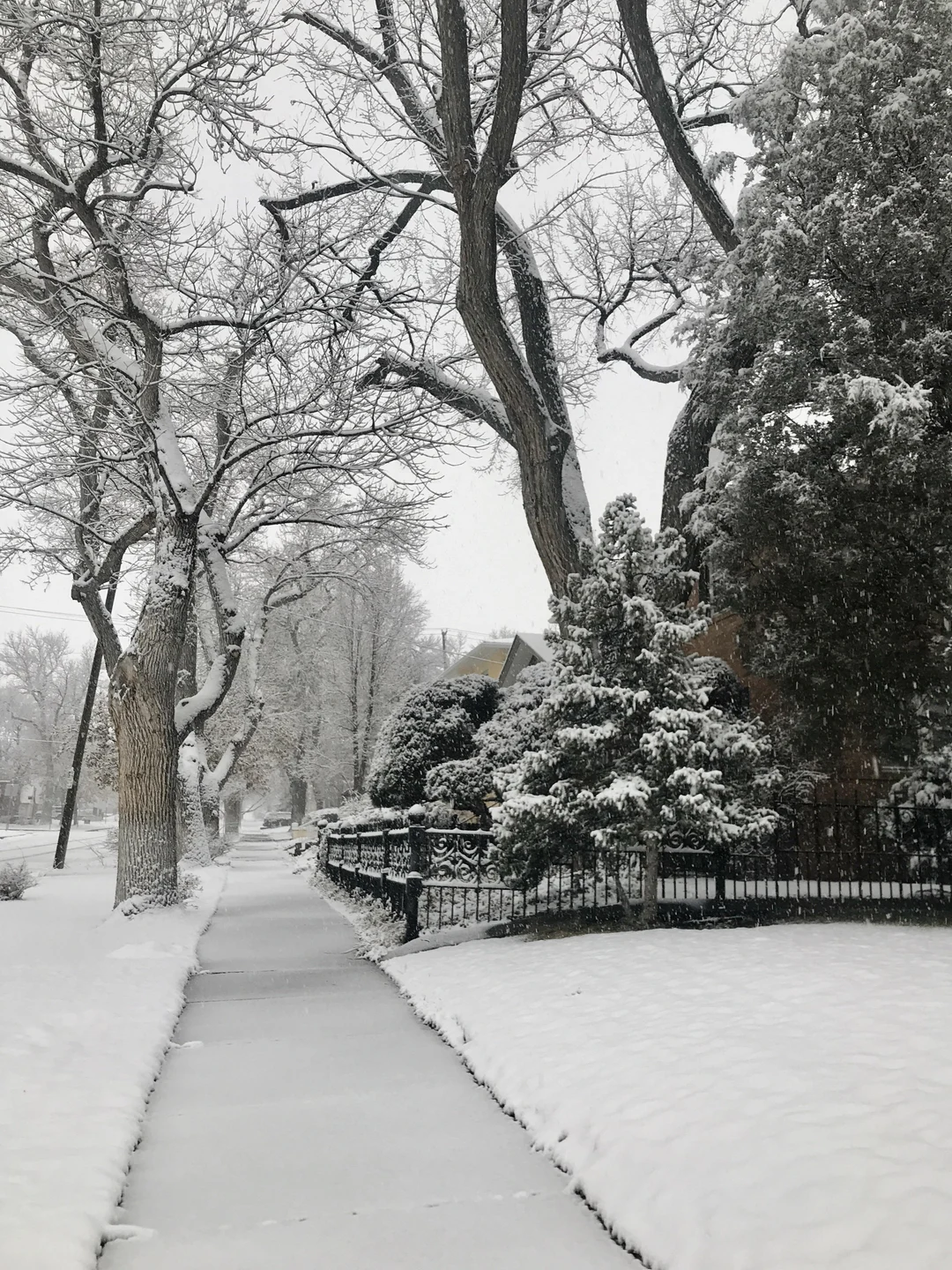 Walking through fresh snow. [OC] | Scrolller
