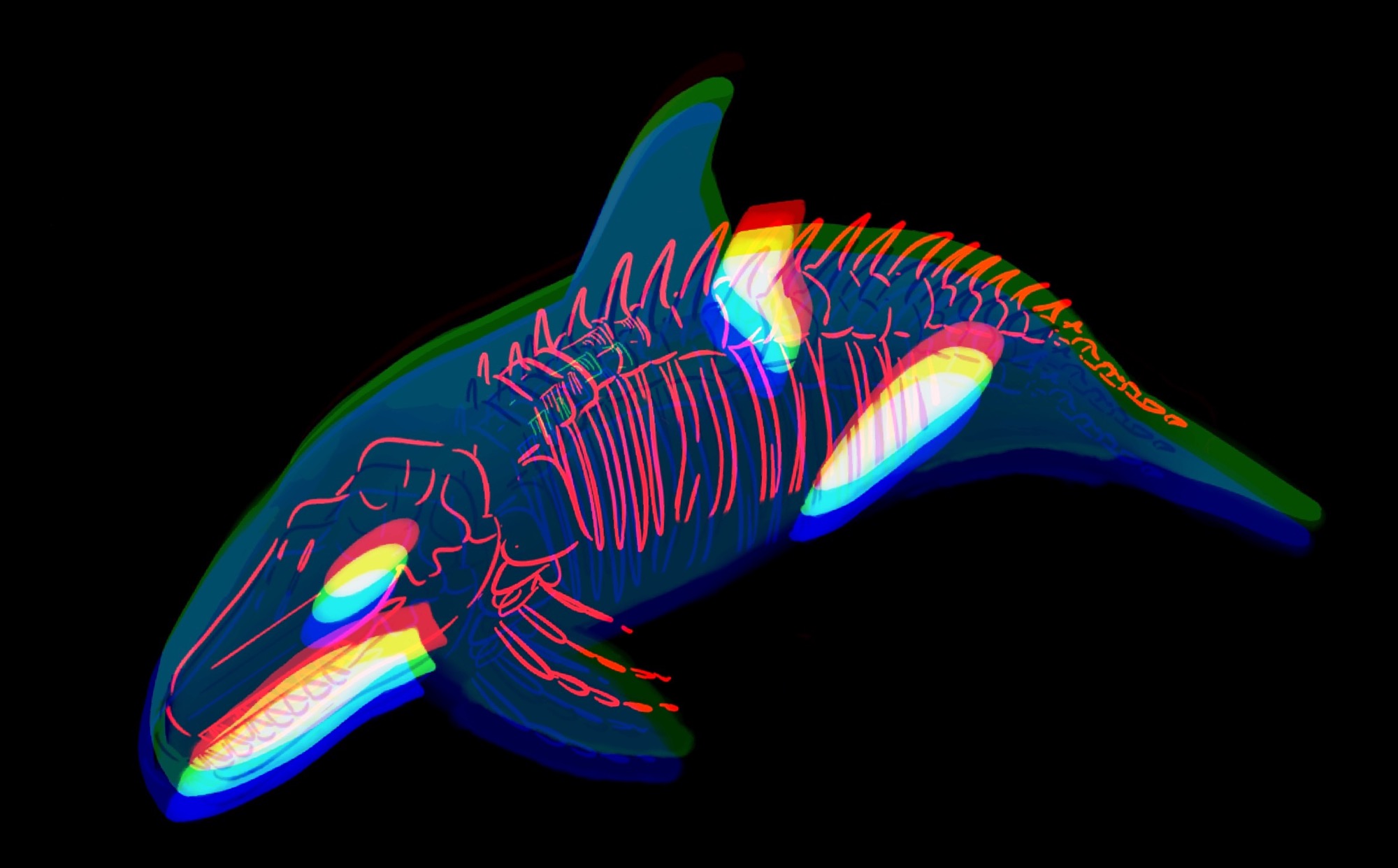 Orca, me, digital, 2022 | Scrolller