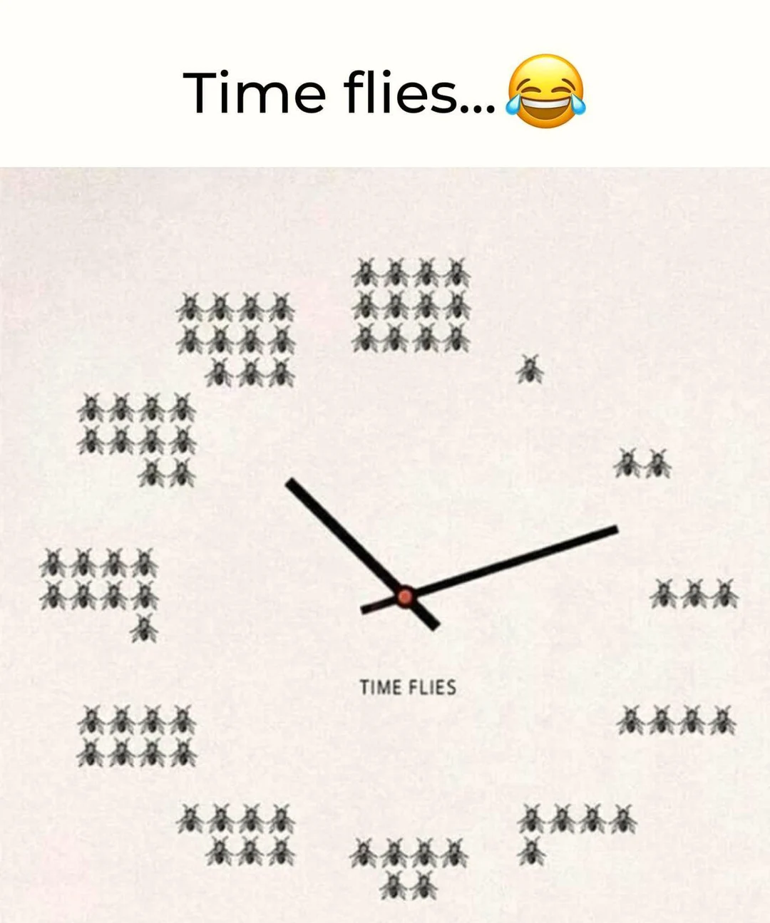 Time Flies | Scrolller