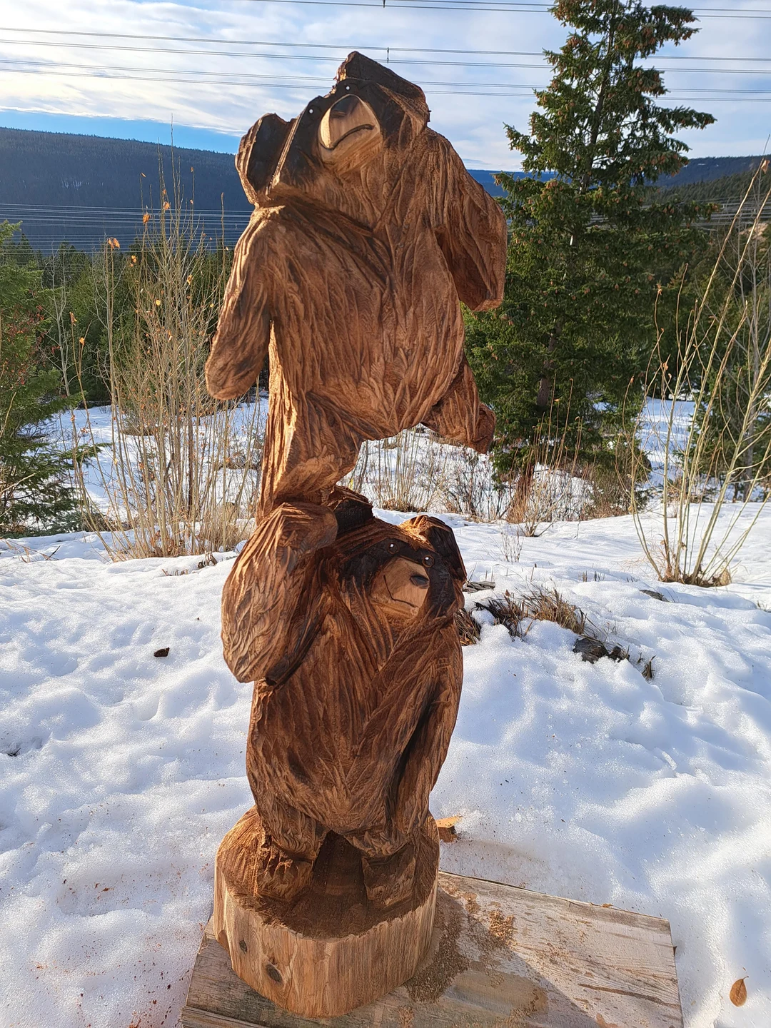 "two bears, one log", me, chainsaw, 2023 | Scrolller