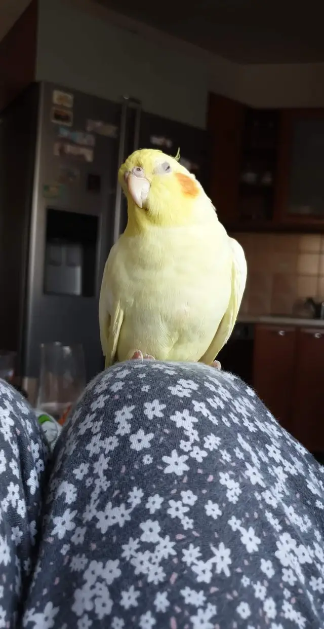 There's my princess Gabbie, judging you! | Scrolller