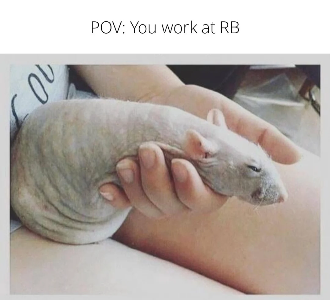 Christian Horny | Scrolller