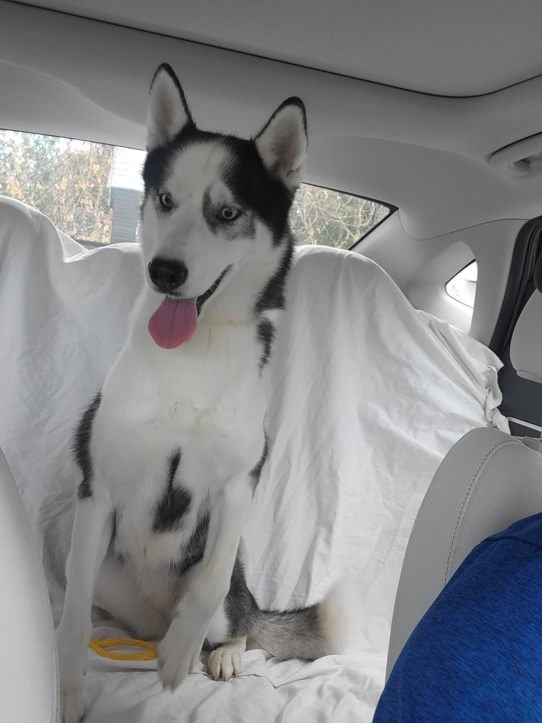 Raven is safe | Scrolller