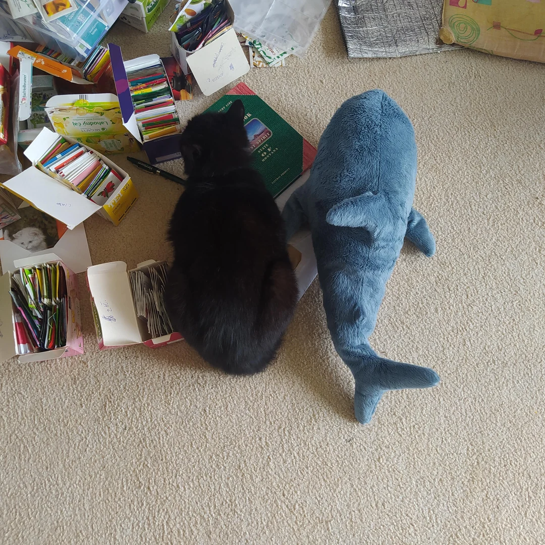 A loaf roughly the size of a blahaj | Scrolller