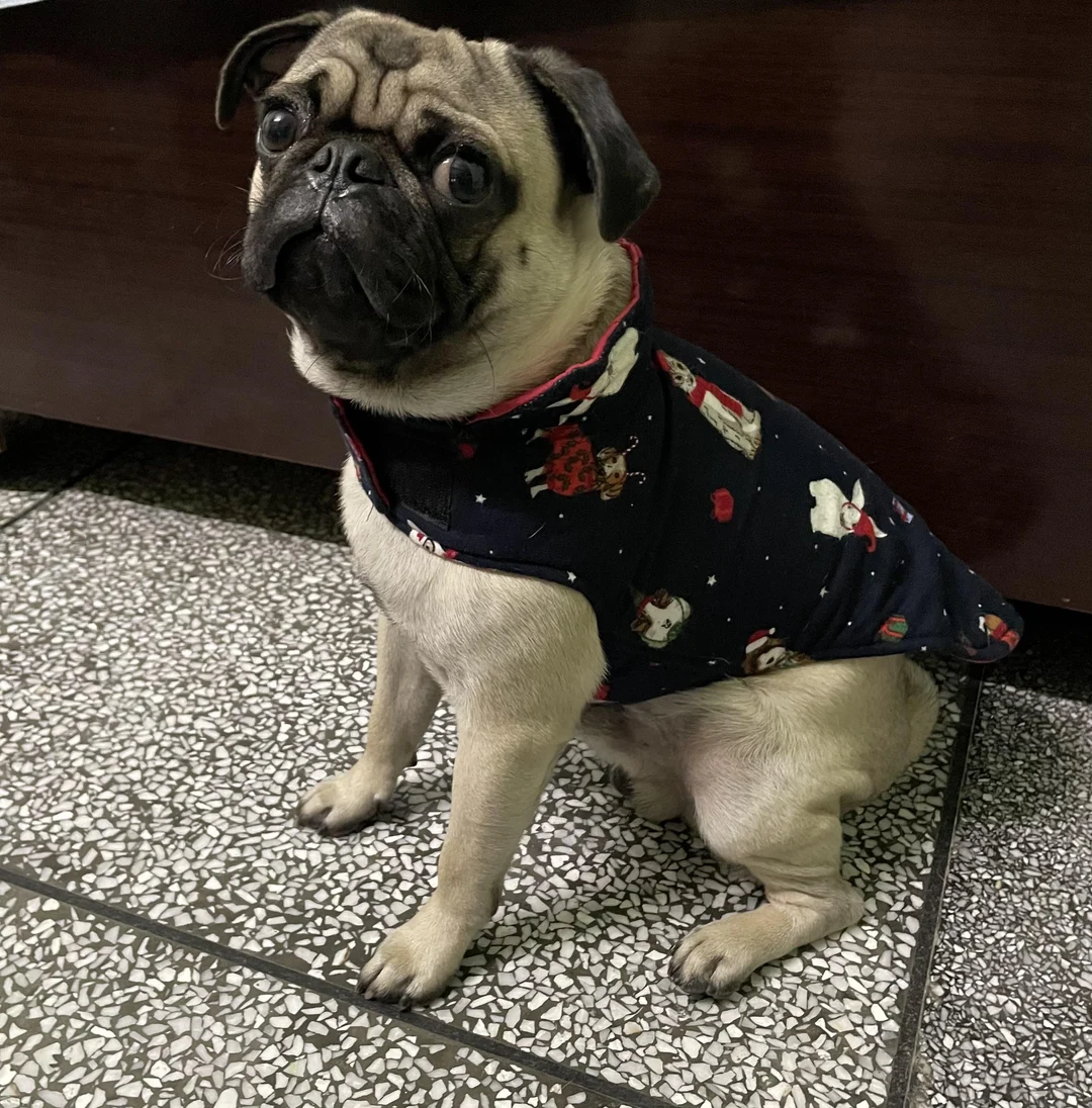 Jerry’s OOTD | Scrolller