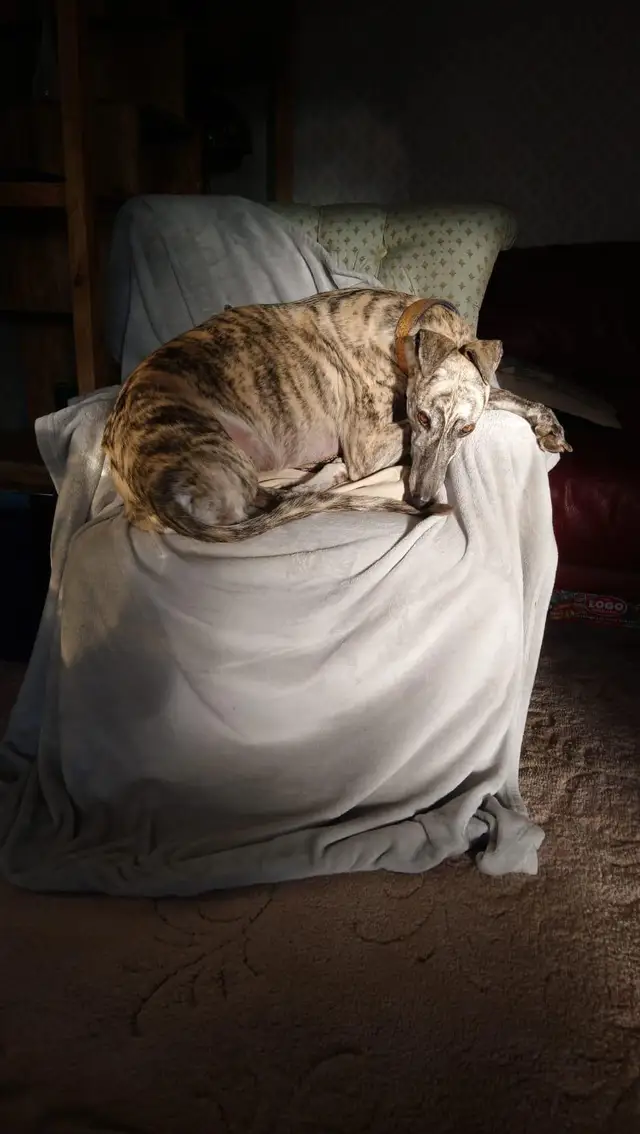 Our posing tripod 💙 | Scrolller