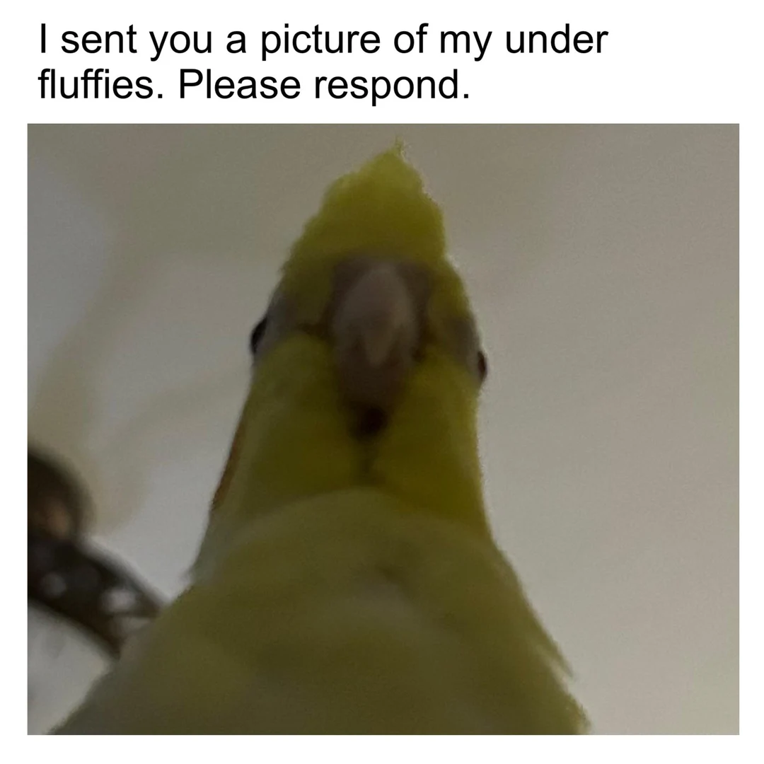 Please Respond. | Scrolller