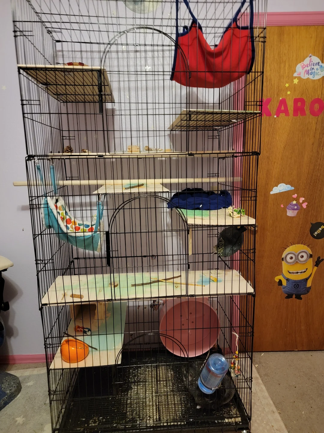 Upgraded Setup Questions (see comments) | Scrolller