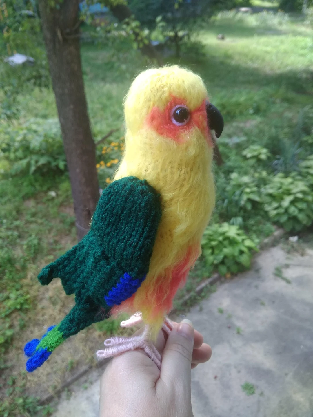 parrot Conure | Scrolller