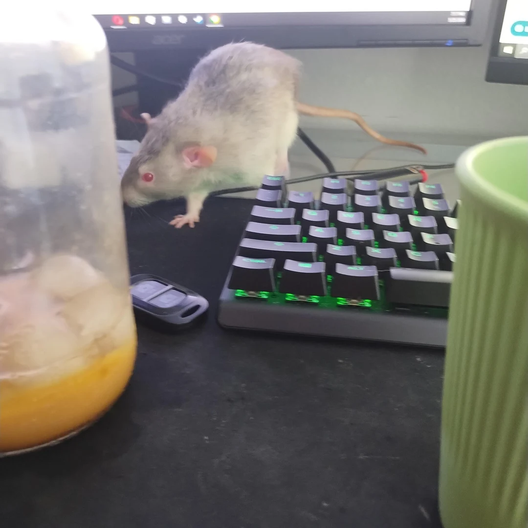 Doomed to be peed on by this menace | Scrolller