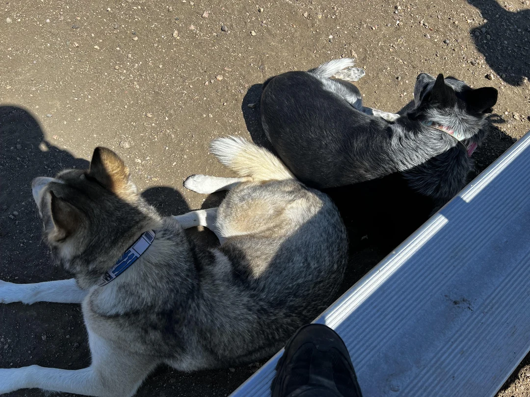 Cousins having to share the shade. Endor and Reptar sharing a hot day. | Scrolller