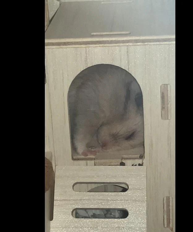 Is this normal? | Scrolller