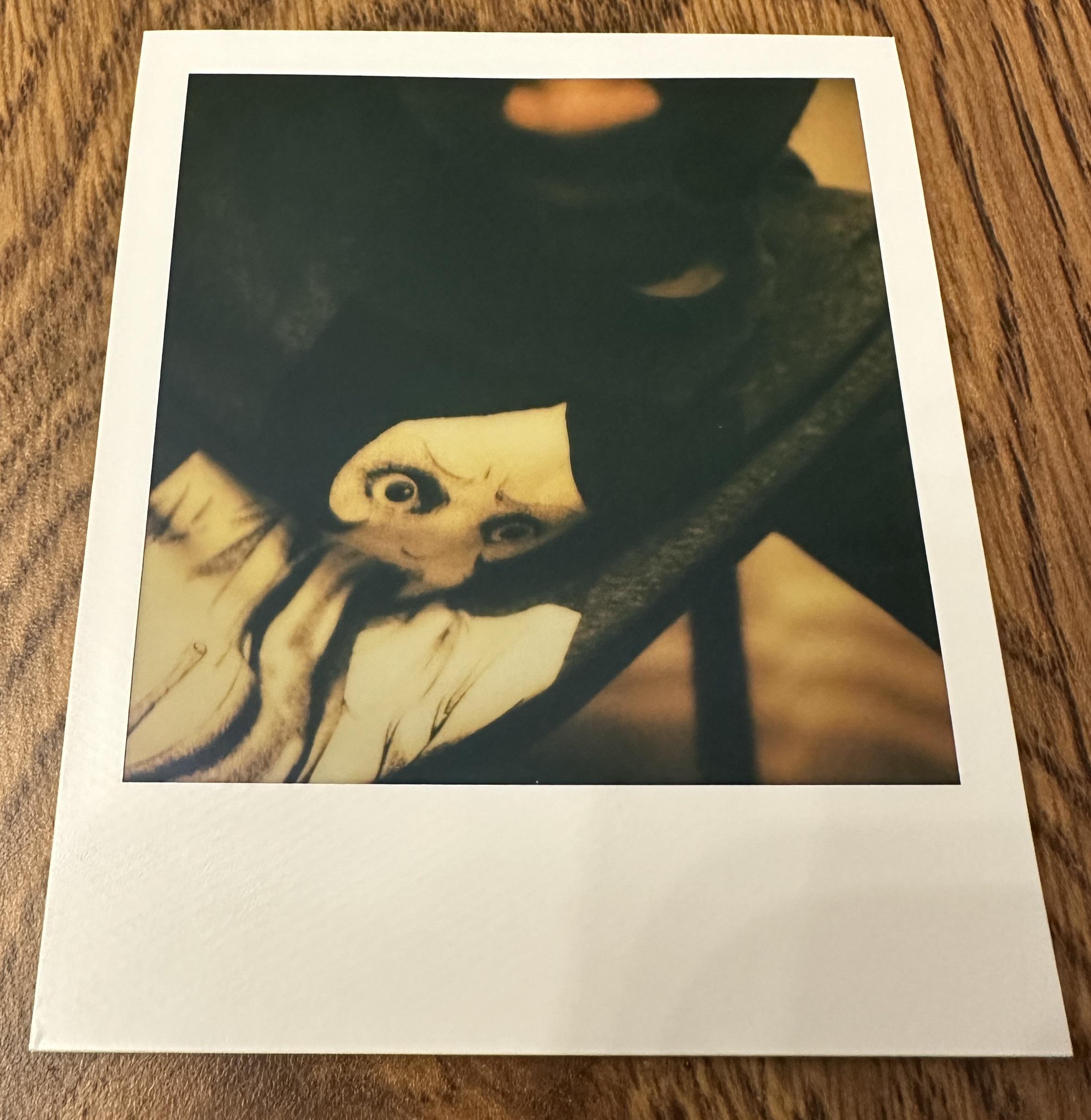 My selfie attempt turned into a jumpscare once it developed (SX-70, SX-70 color film) | Scrolller