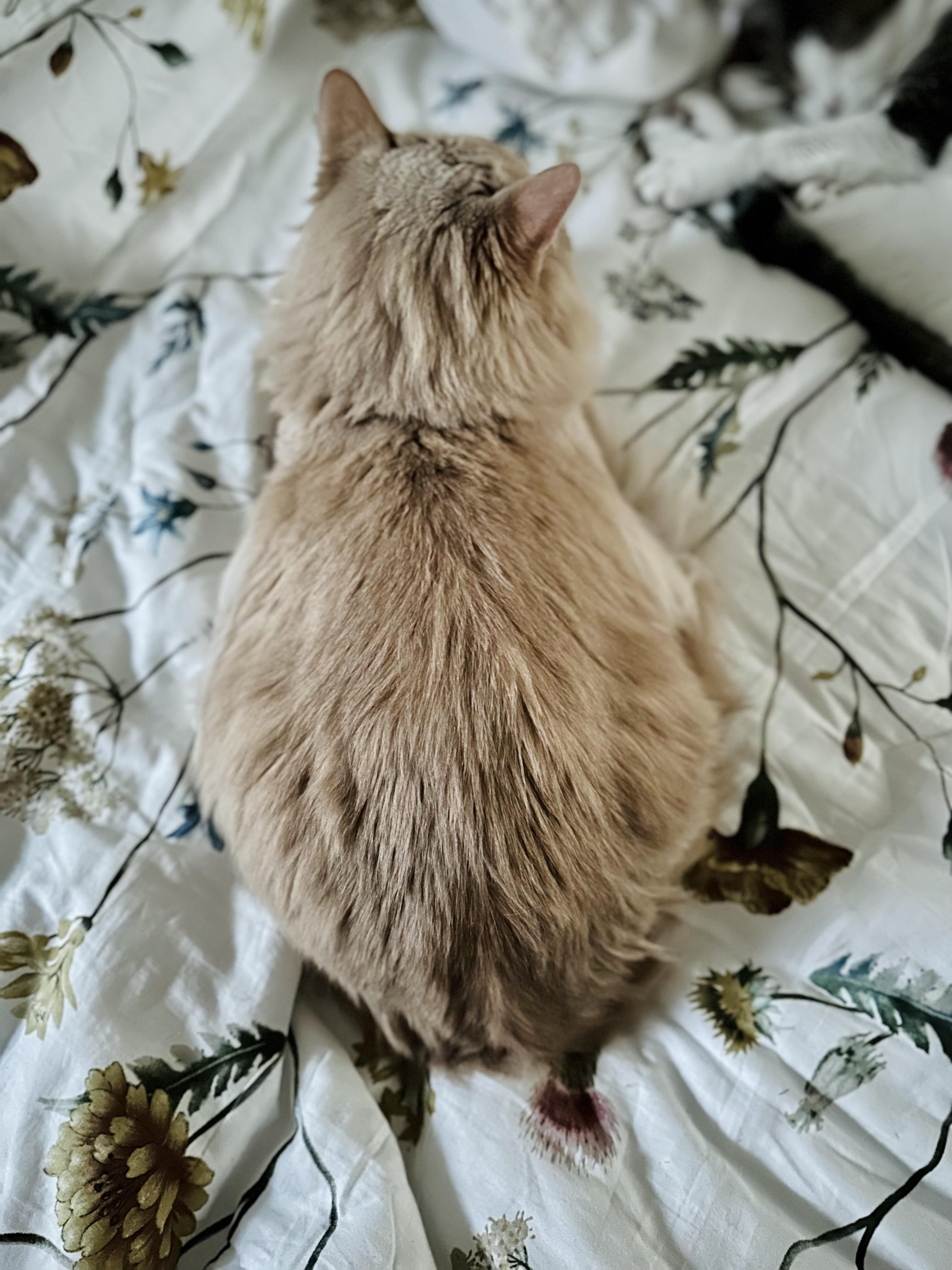 A rare Mary Berry loaf | Scrolller