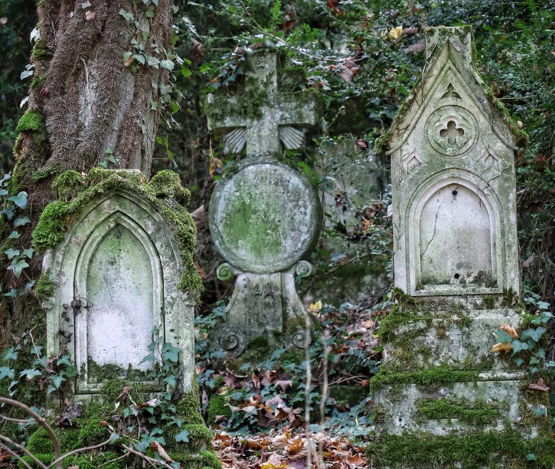 Forgotten cemetery in the forest | Scrolller