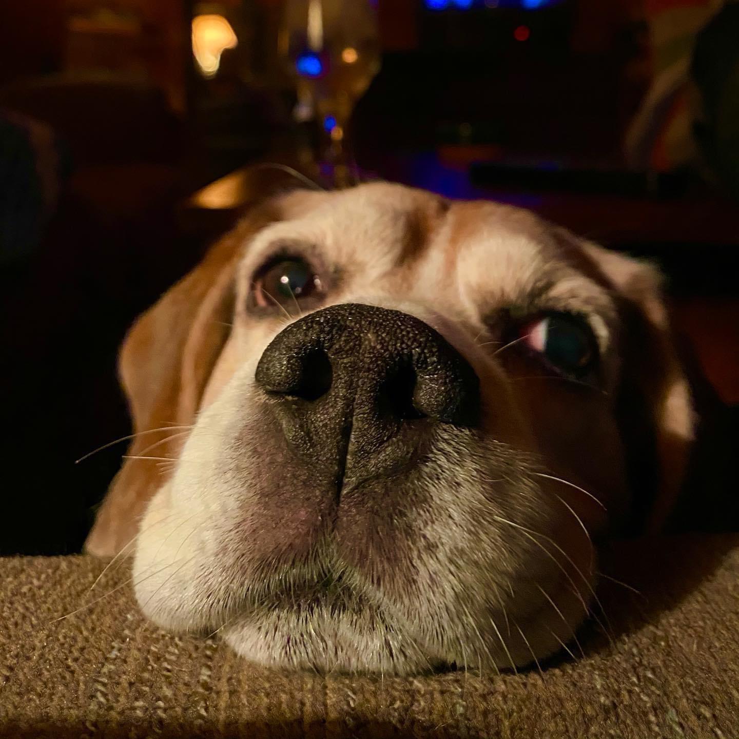 Discover more like Aww: Mummy…Watcha doing? ️ and Related Content | Scrolller