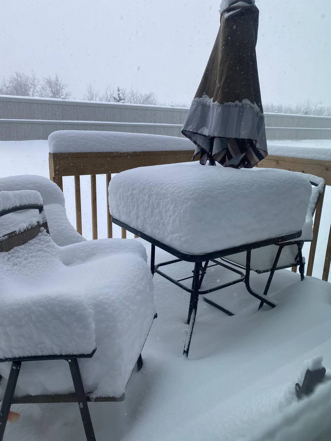 Discover more like Winterporn: Canadian marshmallow and Related Content | Scrolller