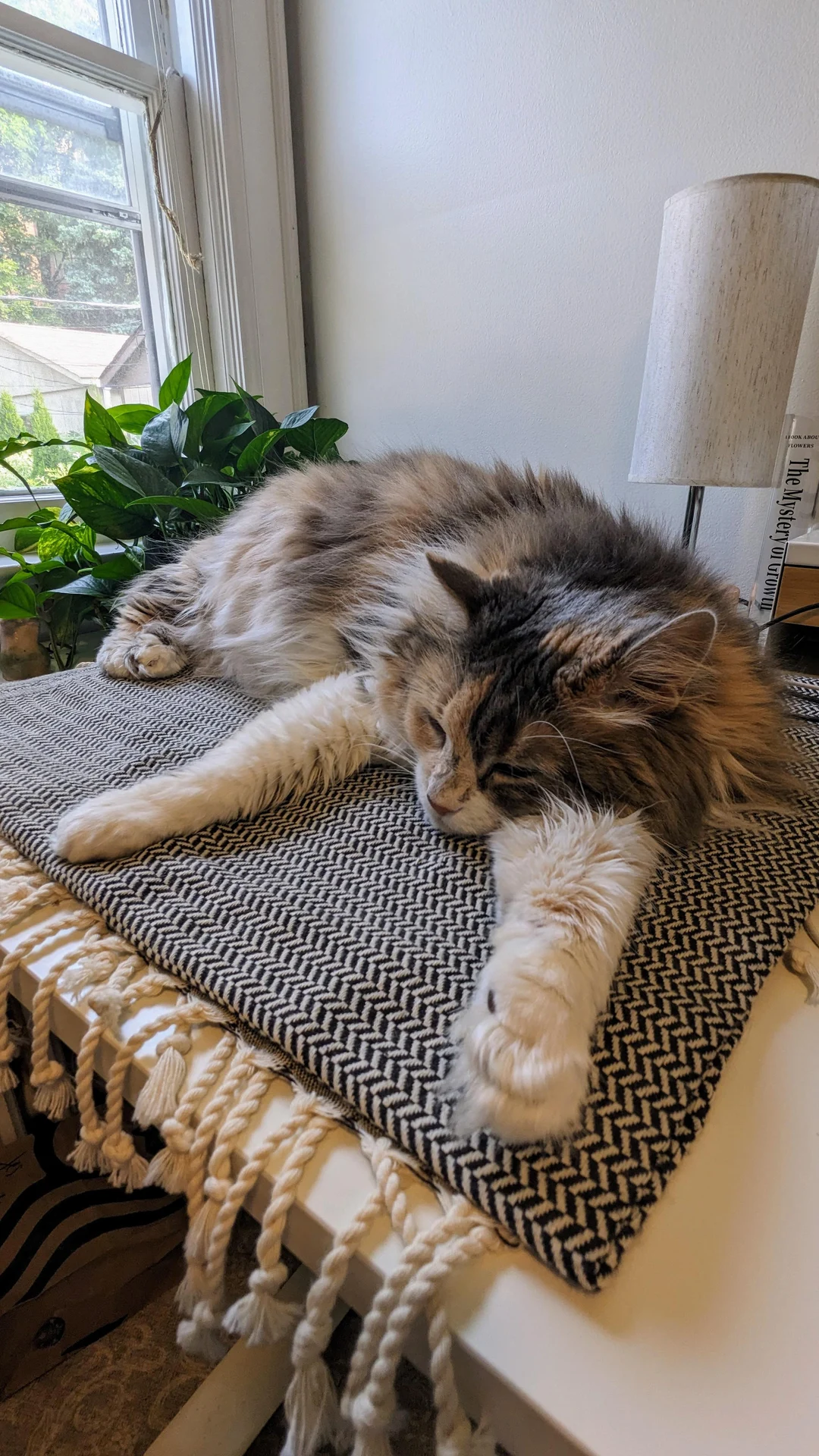 Morning naps 🥰 | Scrolller