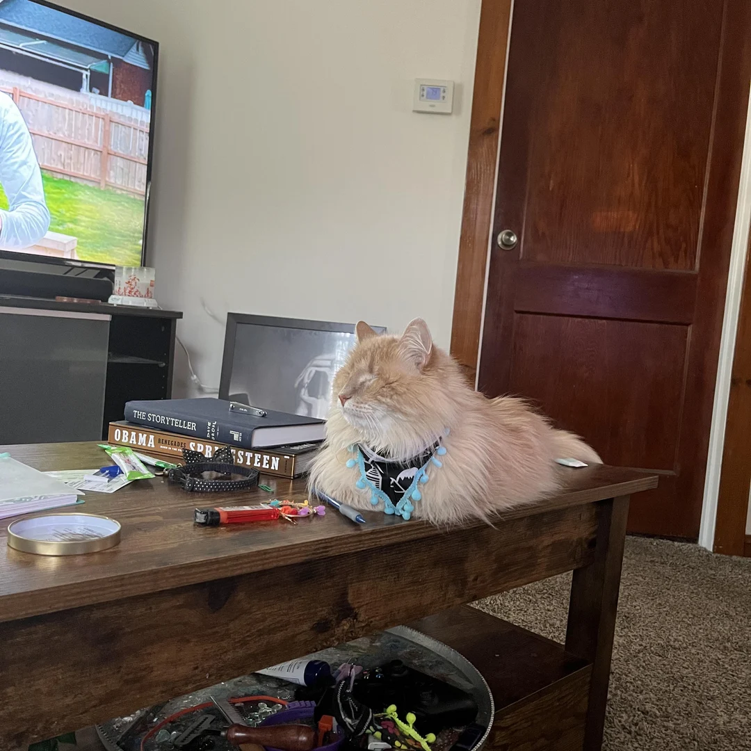 Floofy loaf! | Scrolller