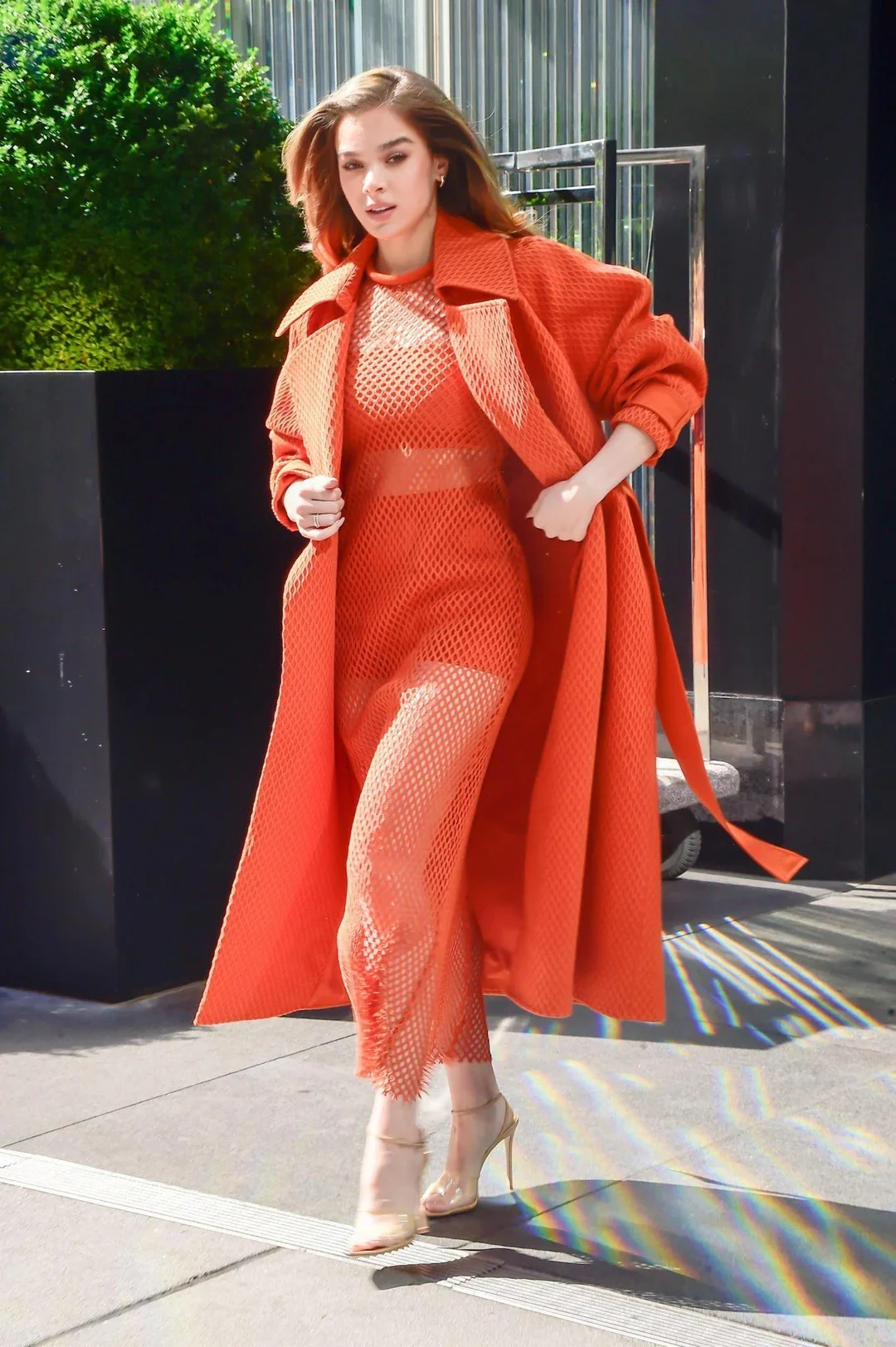 Hailee Steinfeld | Scrolller