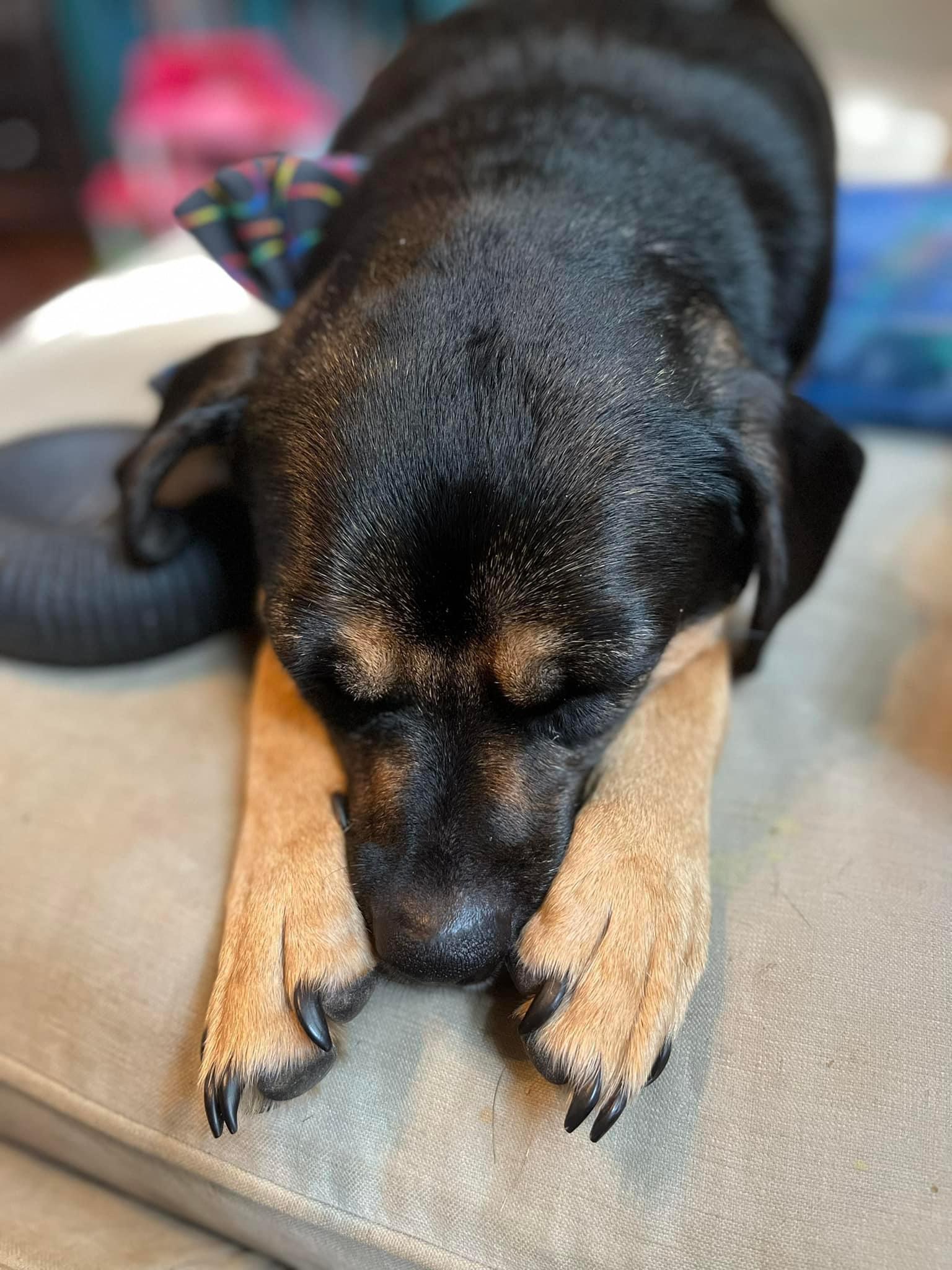 How she naps | Scrolller