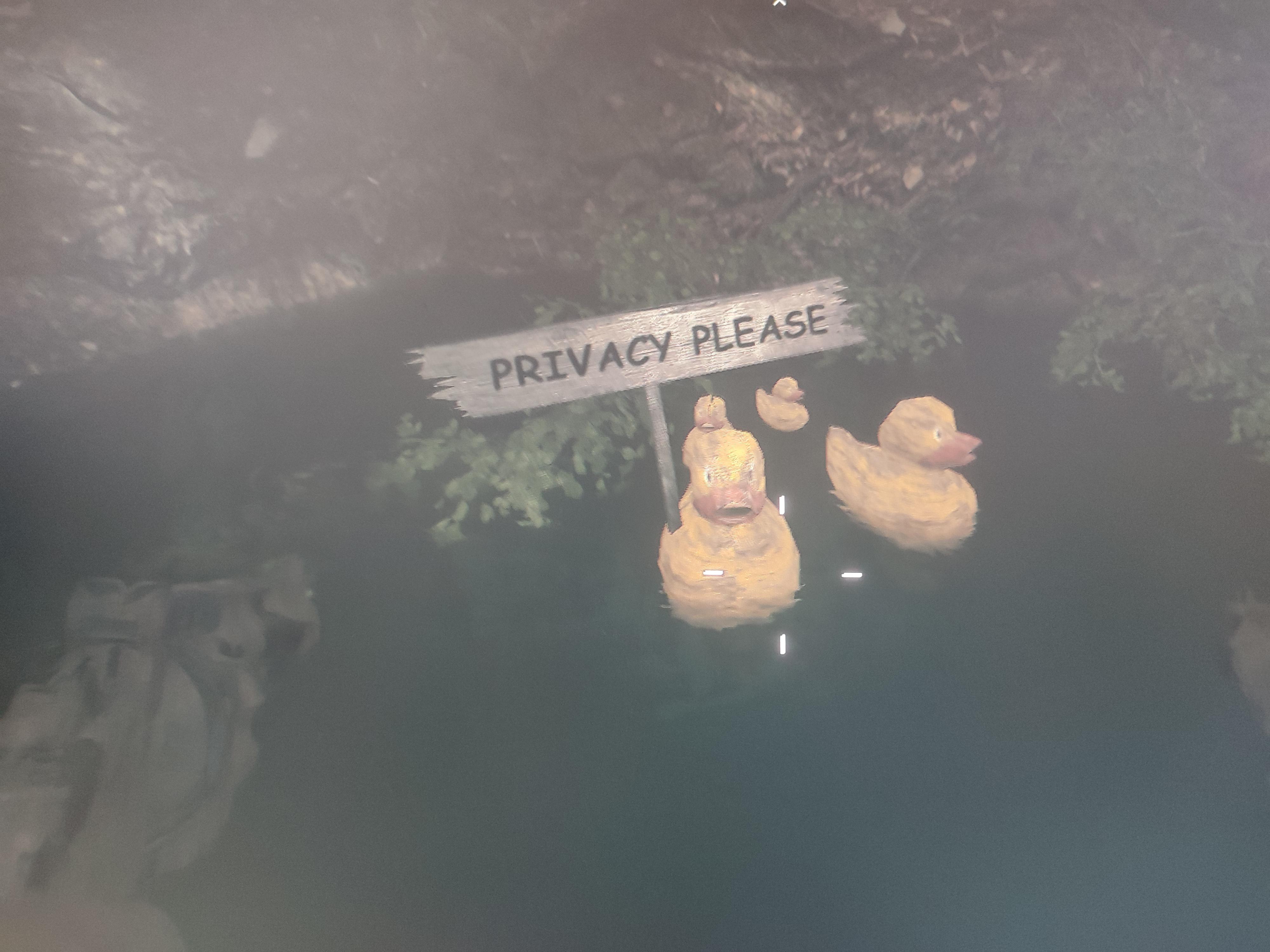 Privacy please | Scrolller