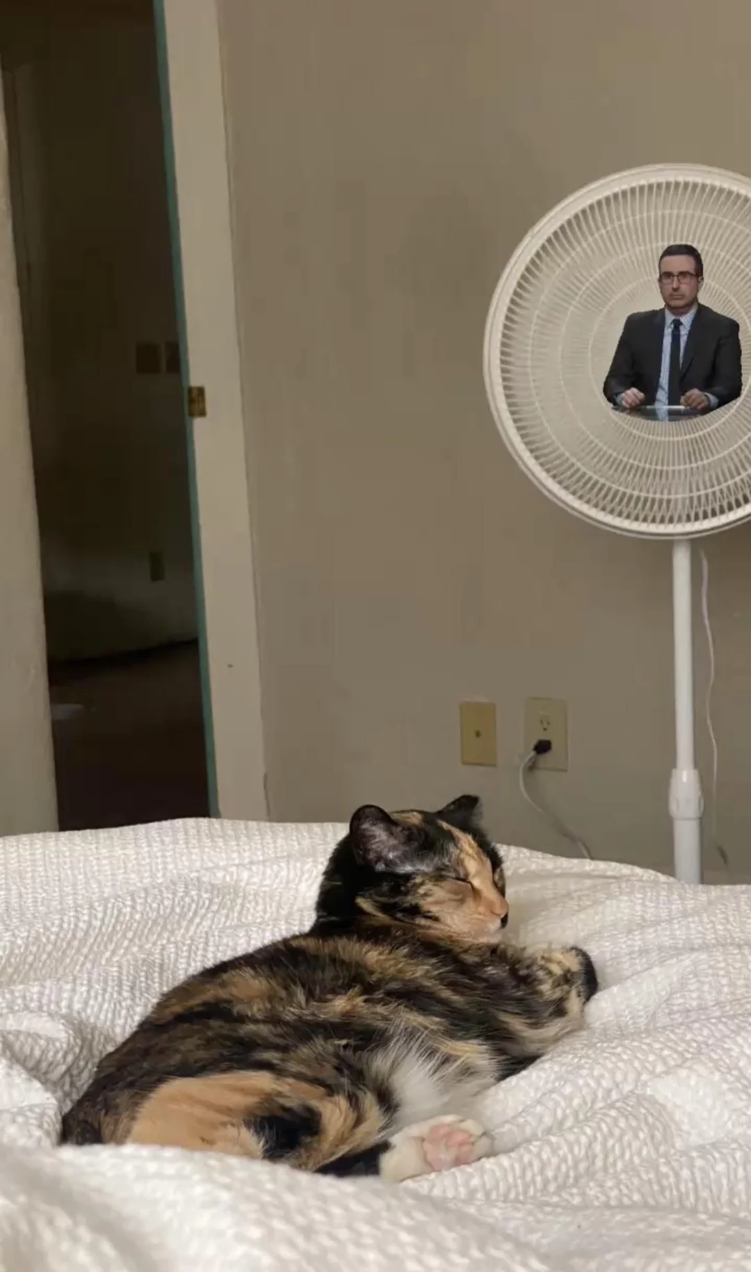 John Oliver helping Strelka beat the heat (OC) | Scrolller