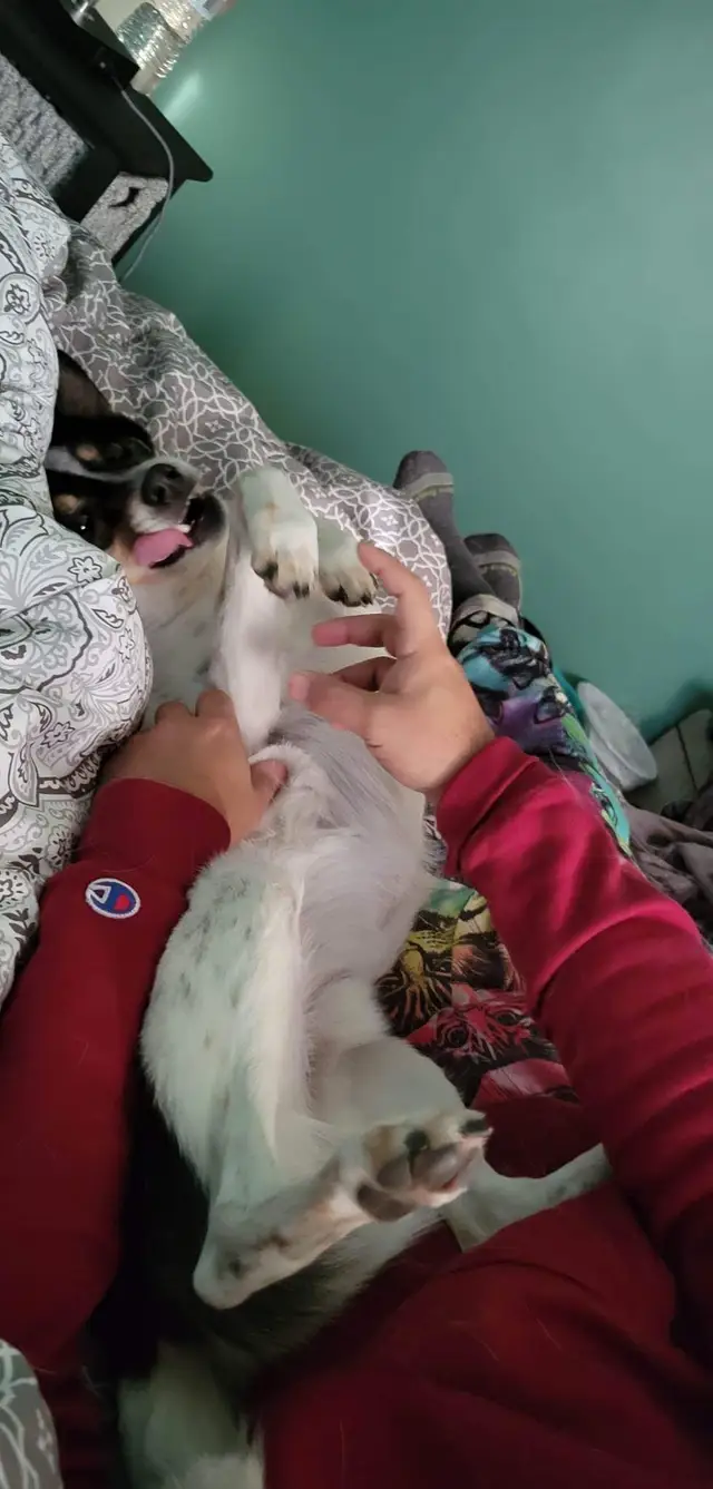 got his Sunday morning derp face on | Scrolller