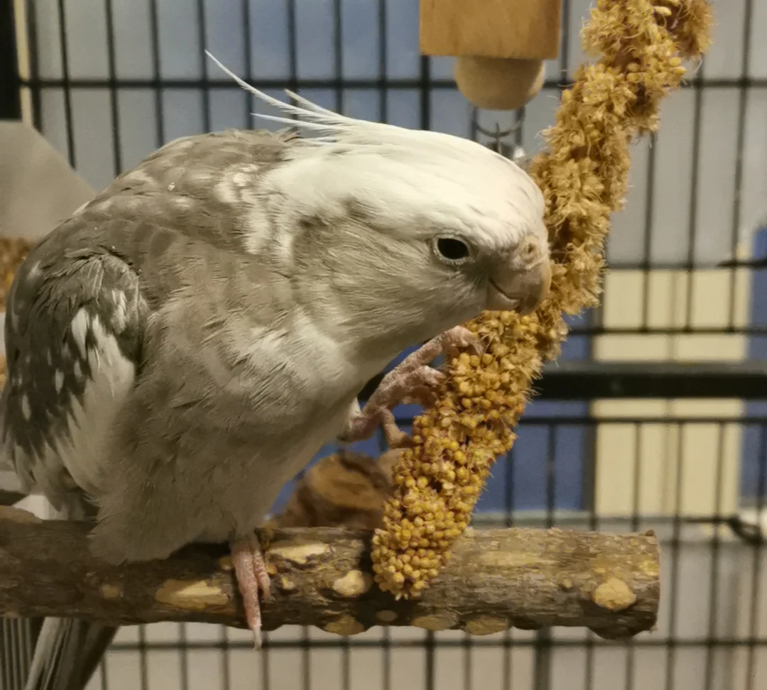 He knows | Scrolller