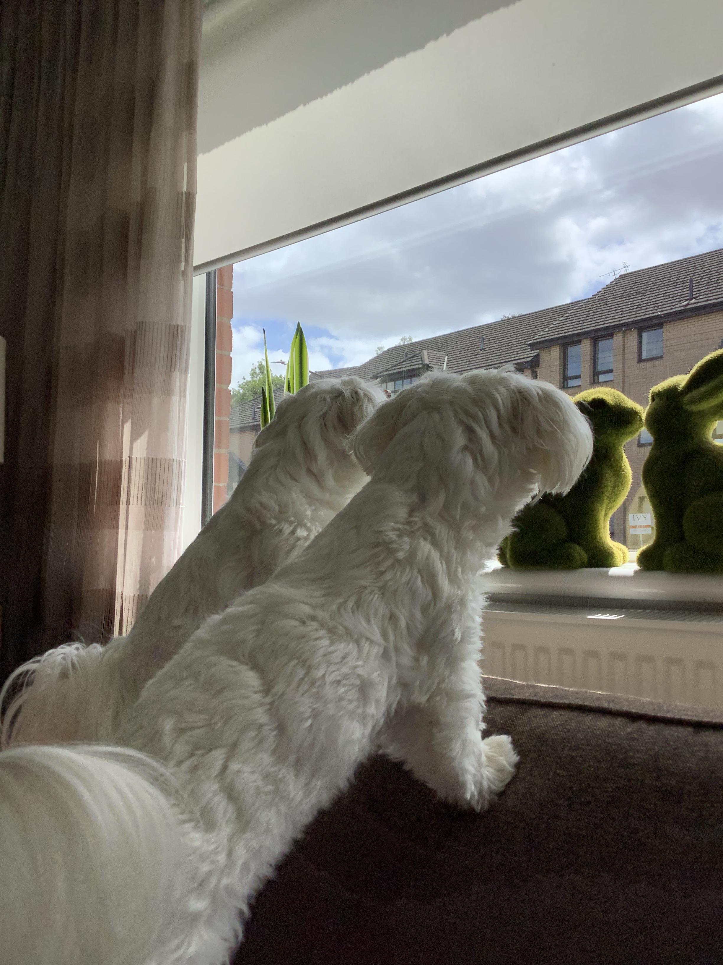 Home Security System | Scrolller