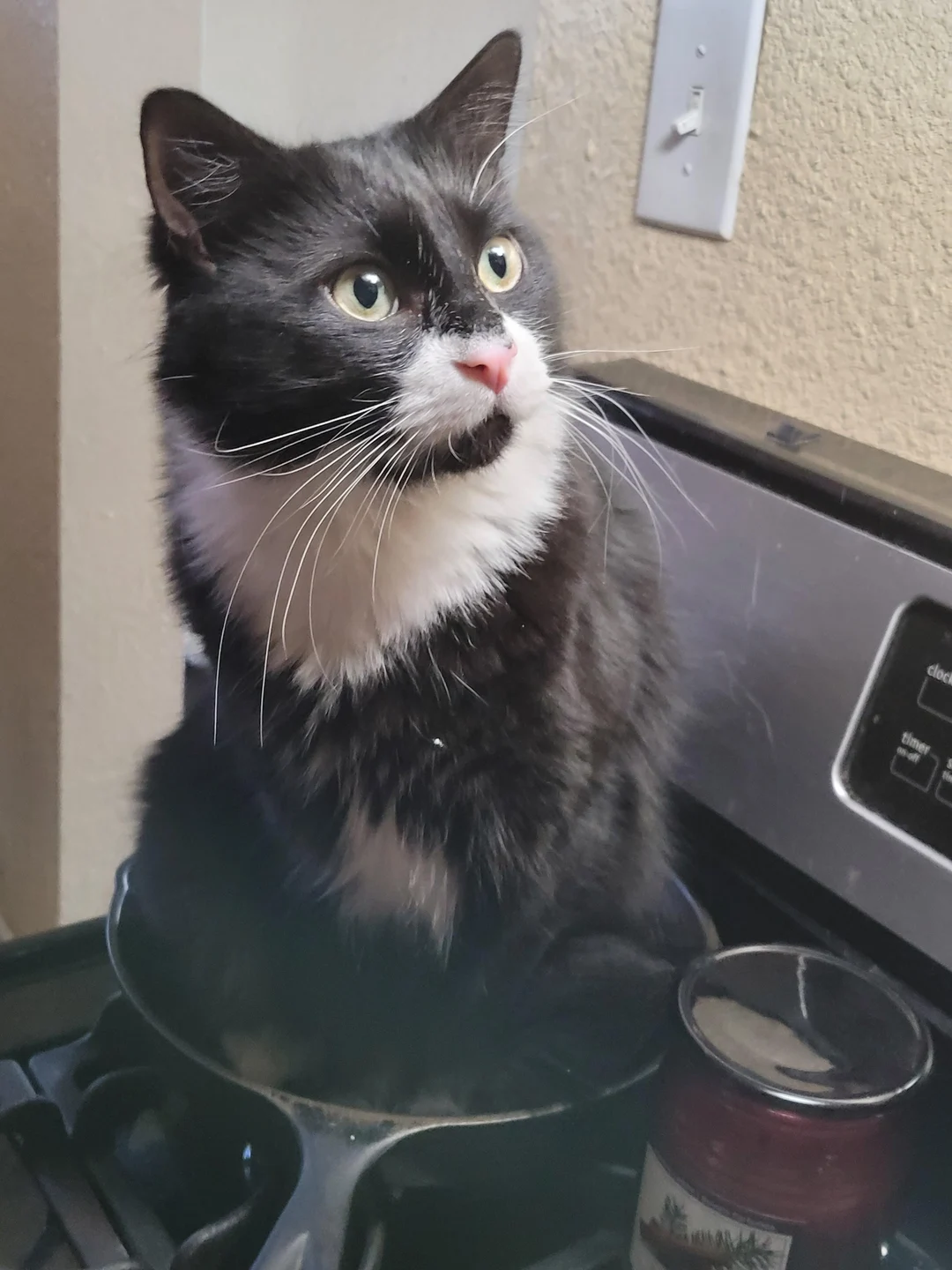 Cat iron. | Scrolller