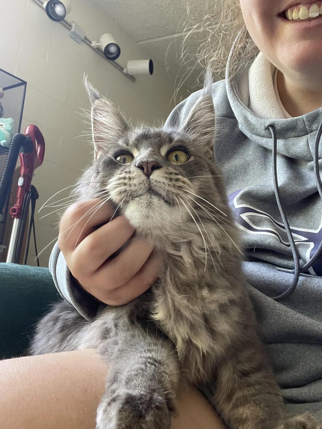 Meet Stevie | Scrolller