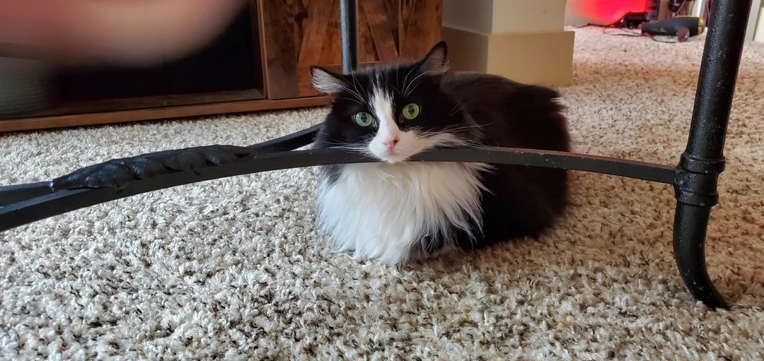 Somehow she is comfortable??? | Scrolller