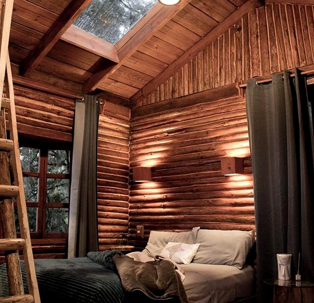 Inside the Cabin tree | Scrolller