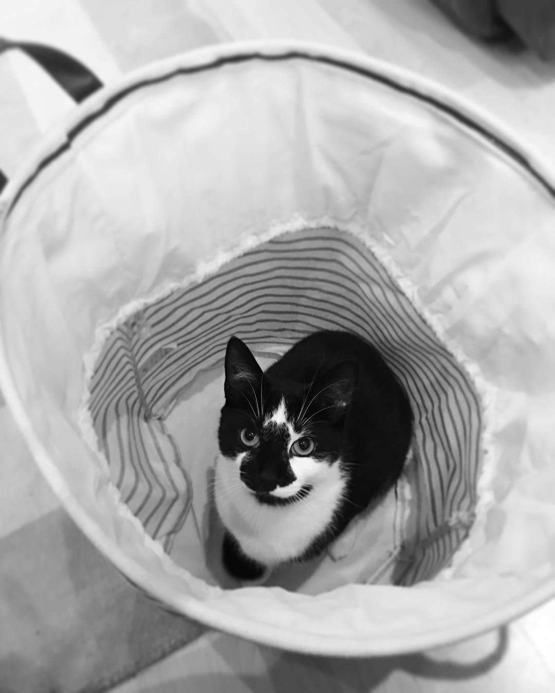 Cuteness overloaded | Scrolller