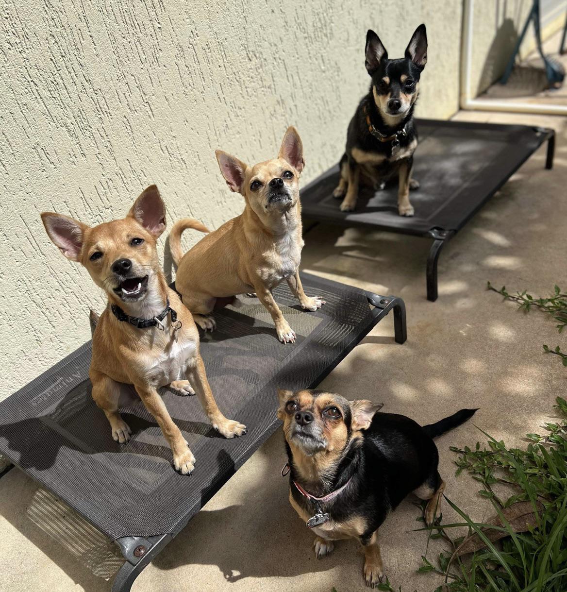 Isolation photoshoot | Scrolller