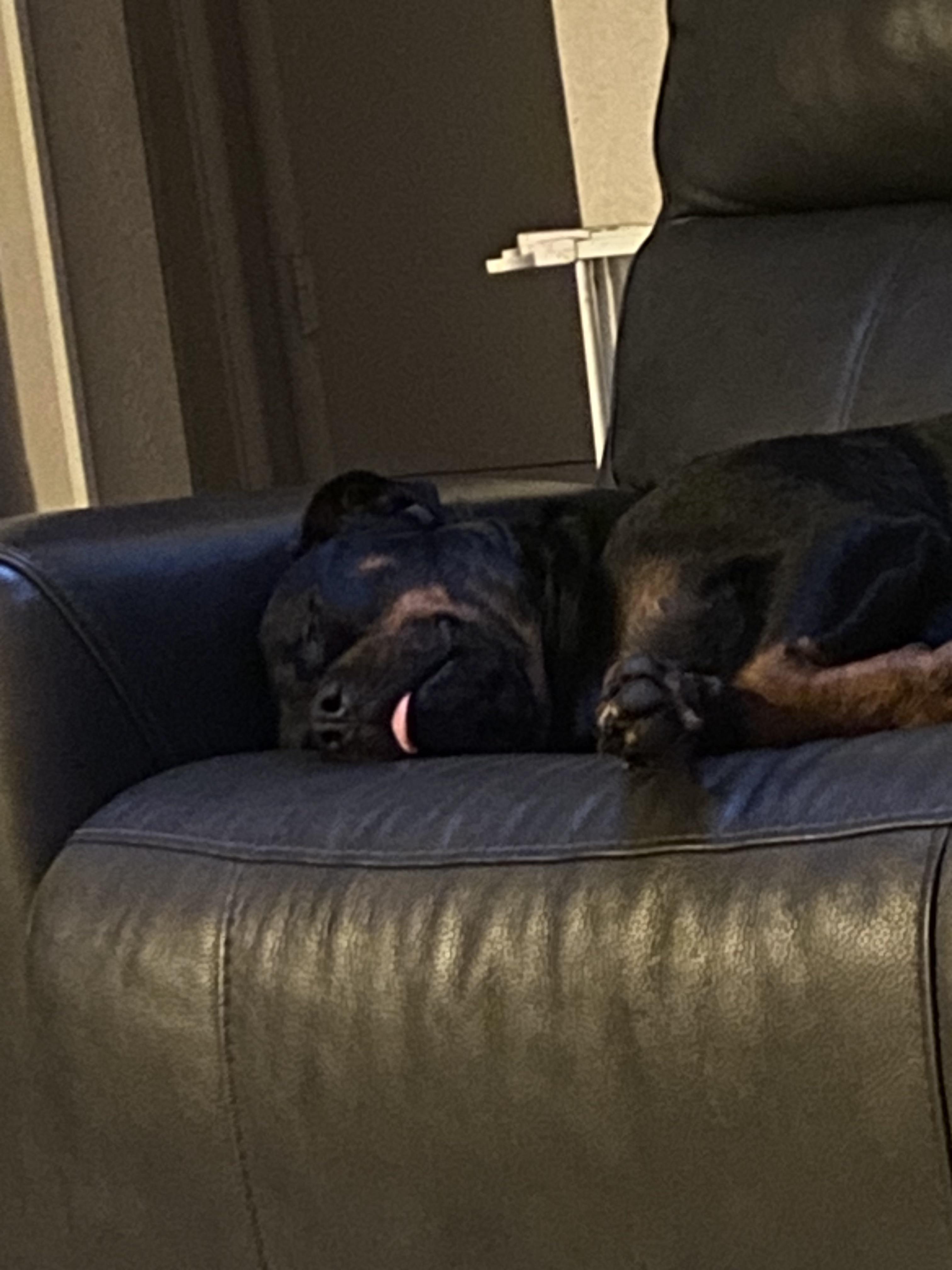 Christmas is exhausting | Scrolller