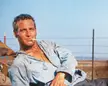 The absolute definition of cool, Paul Newman, “Cool Hand Luke” (1967) | Scrolller