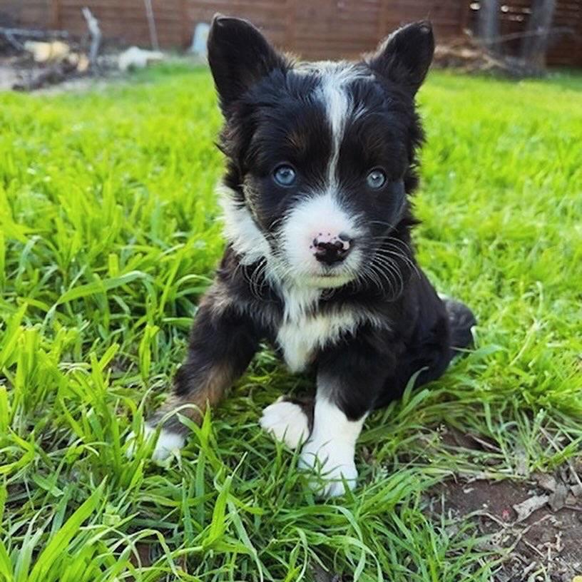 Meet Bonnie | Scrolller