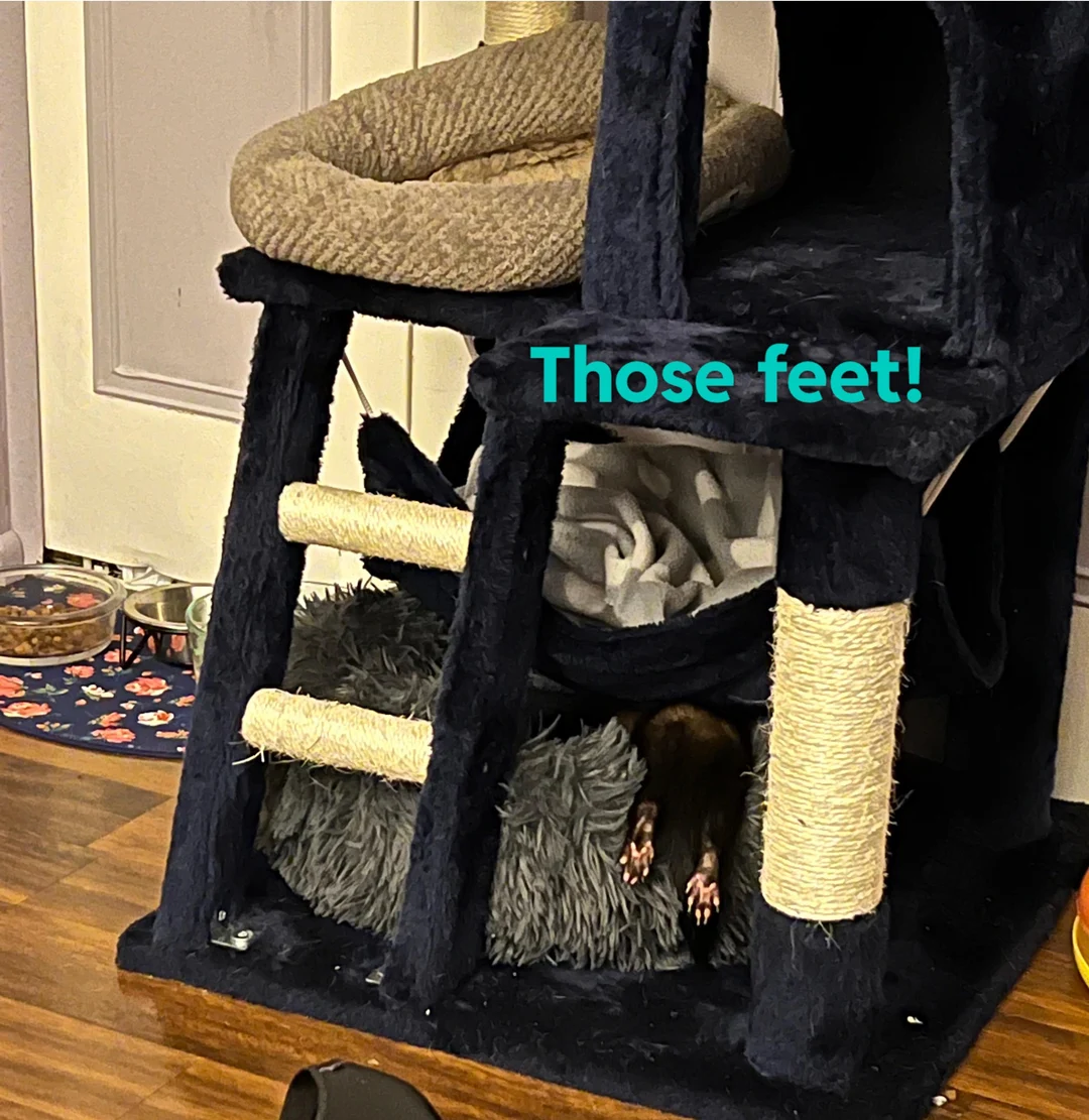 Feetsies | Scrolller