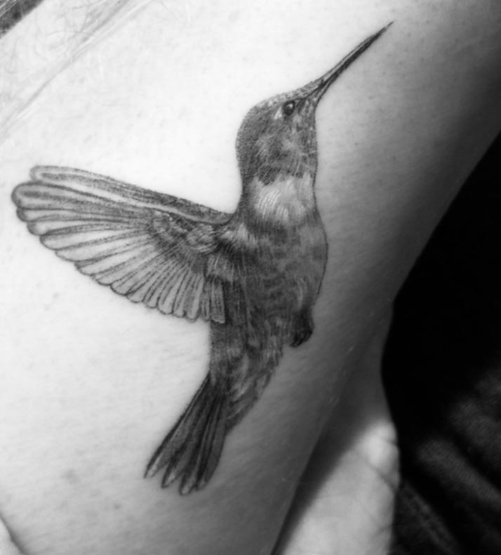 Hummingbird — Sherri @ Ethos Art Haus, Los Angeles, CA | Scrolller